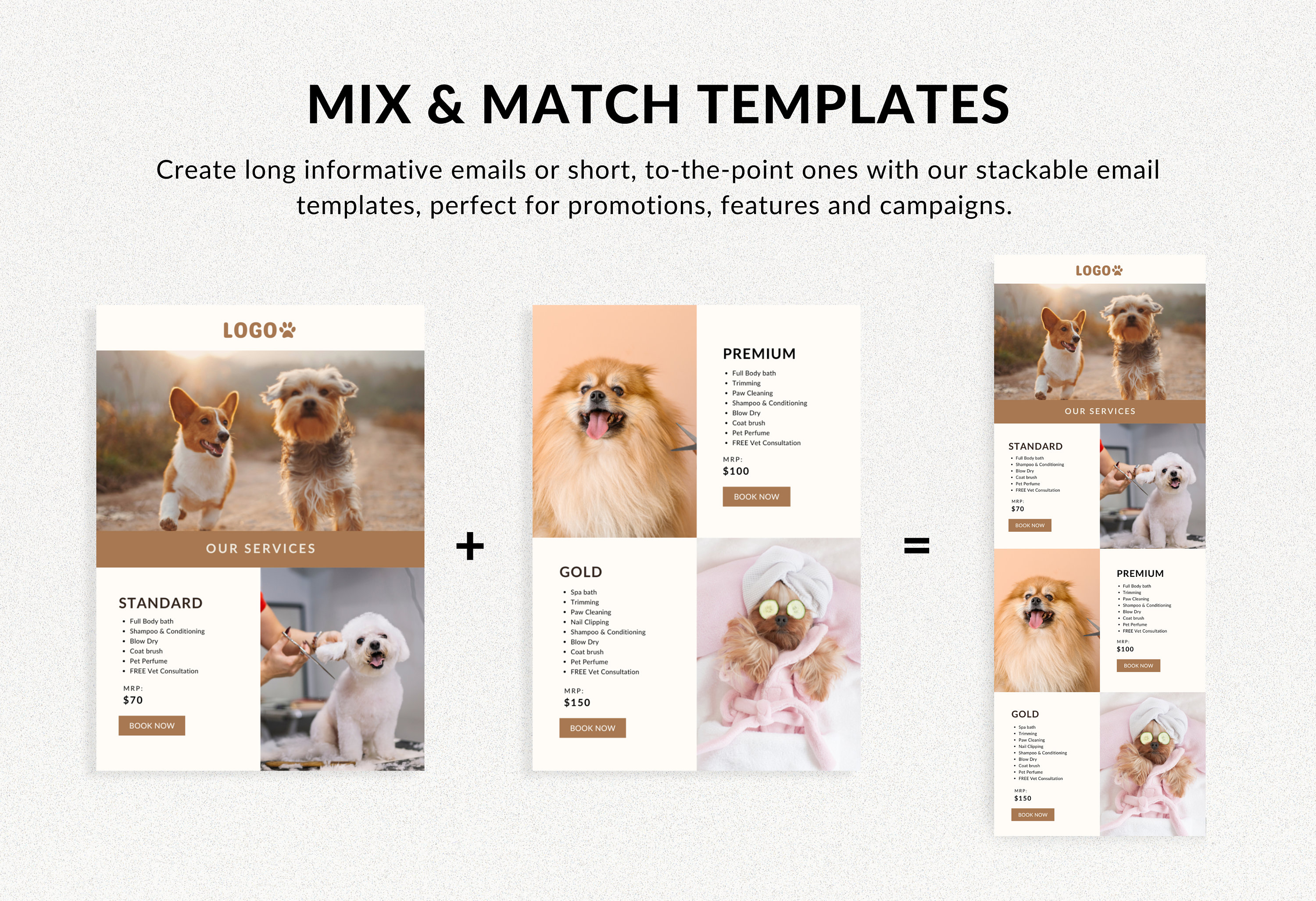 30 Pet Email Template, Dog Cat Pet Lover Vet Template, Pet Shop Email ...