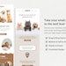 30 Pet Email Template, Dog Cat Pet Lover Vet Template, Pet Shop Email ...