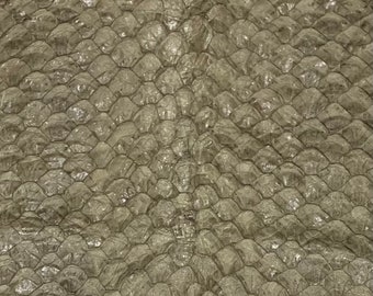 Arapaima Leather - Etsy