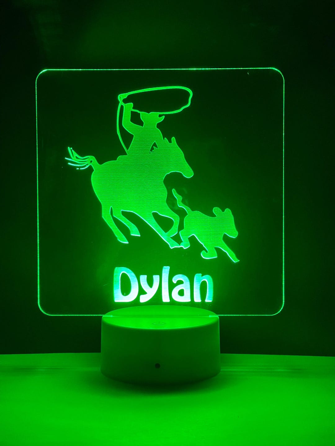 Personalized Custom Western Rodeo Roper LED Night Light for Kids, Teens ...