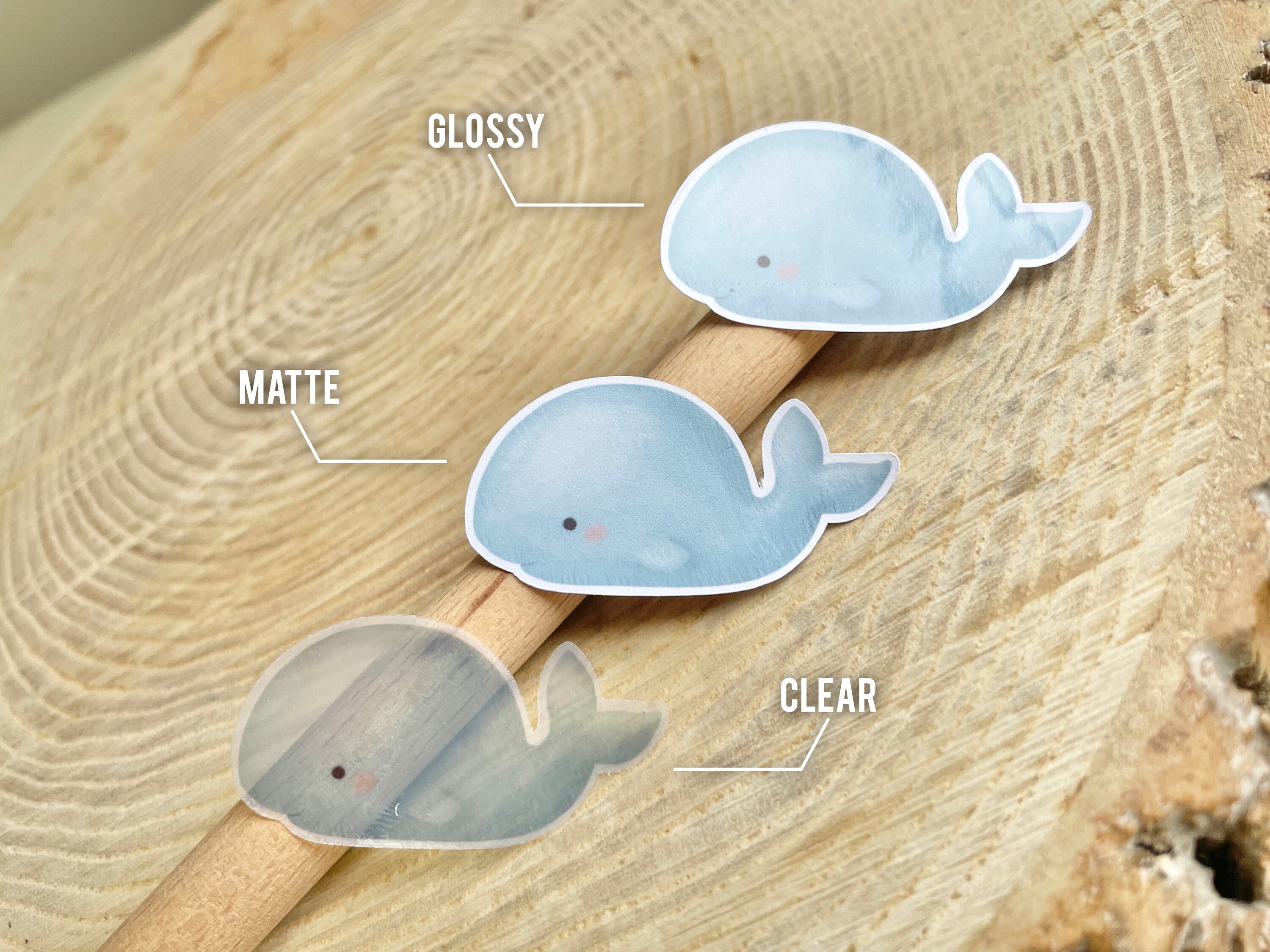 Check Mark Tick Verified Approved Completed Sticker Sheet Bullet ...