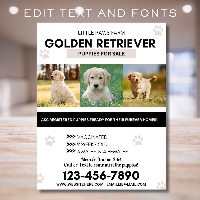 Puppies for Sale Dog Flyer, Dog Flyer, Cat Flyer, Puppies Breeder ...