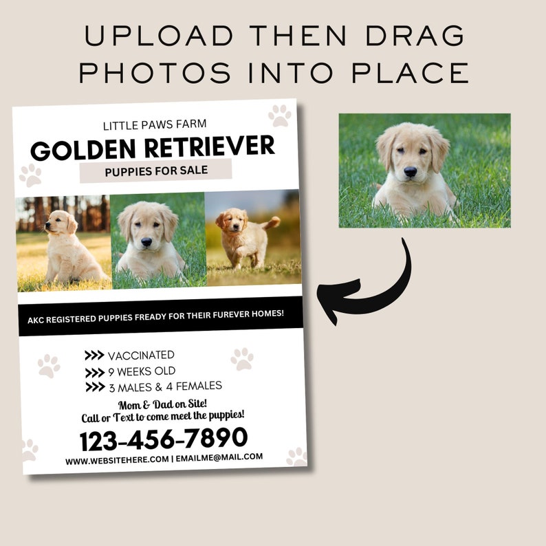 Puppies for Sale Dog Flyer, Dog Flyer, Cat Flyer, Puppies Breeder ...