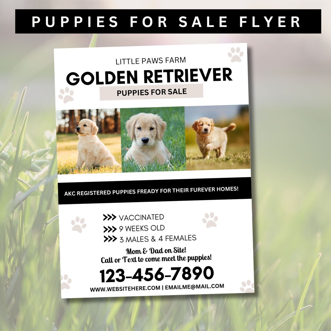 Puppies for Sale Dog Flyer, Dog Flyer, Cat Flyer, Puppies Breeder ...