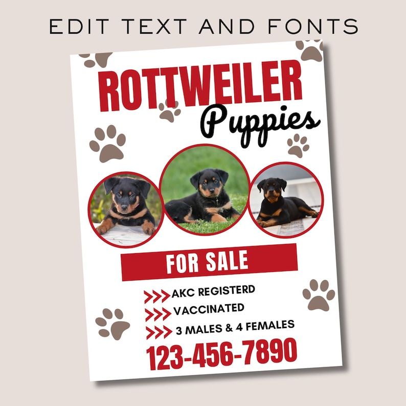 Puppies for Sale Dog Flyer, Dog Flyer, Cat Flyer, Puppies Breeder ...