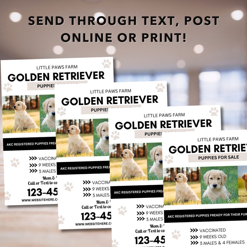 Puppies for Sale Dog Flyer, Dog Flyer, Cat Flyer, Puppies Breeder ...