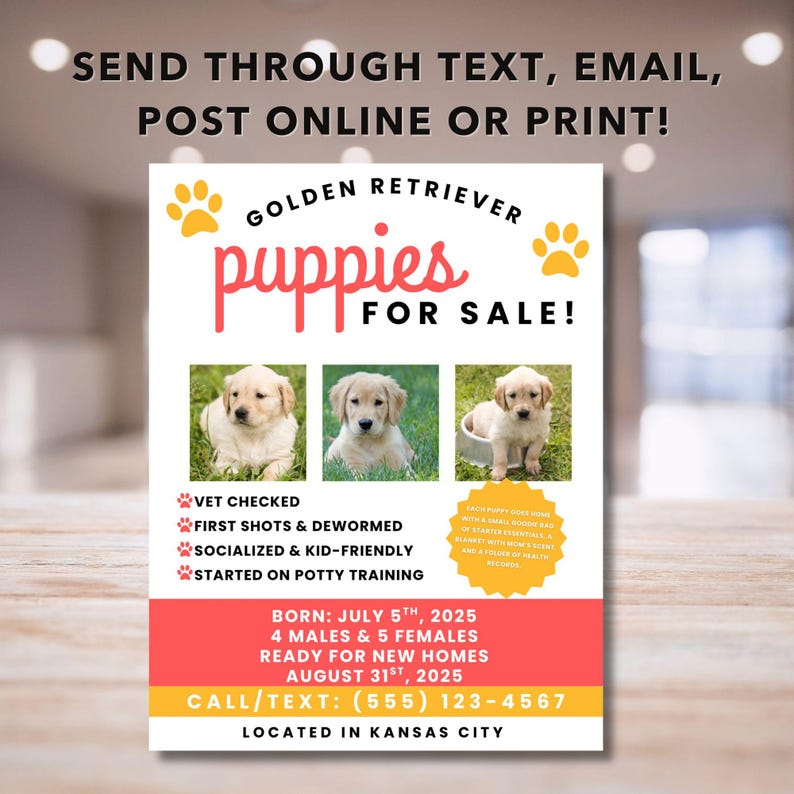 Puppies for Sale Dog Flyer, Dog Flyer, Cat Flyer, Puppies Breeder ...