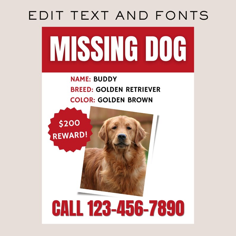 EDITABLE Lost Dog Flyer, Missing Dog Flyer, Lost Cat, Missing Cat Flyer ...