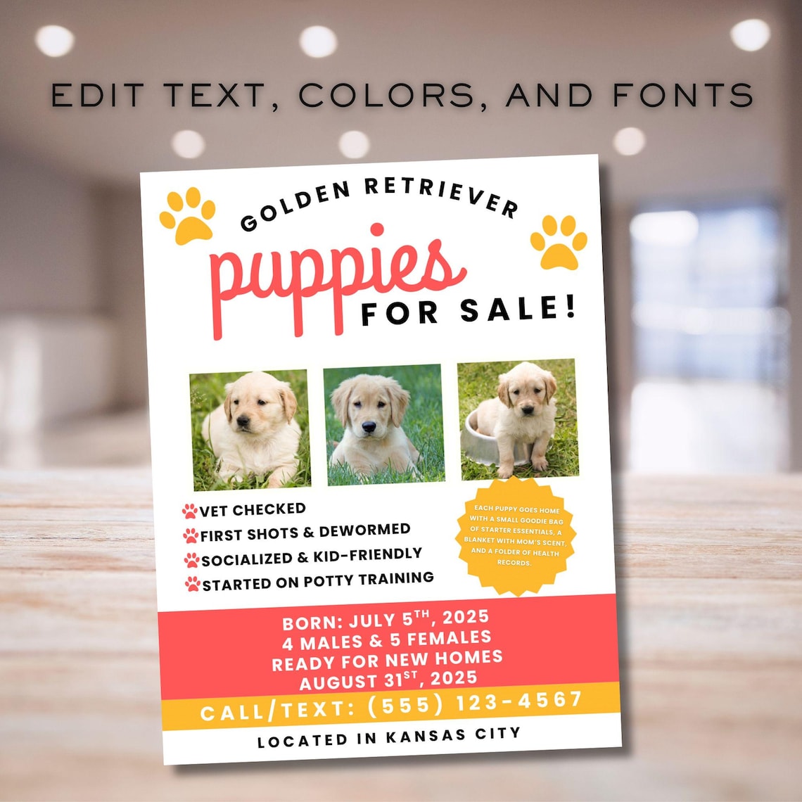 Puppies for Sale Dog Flyer, Dog Flyer, Cat Flyer, Puppies Breeder ...
