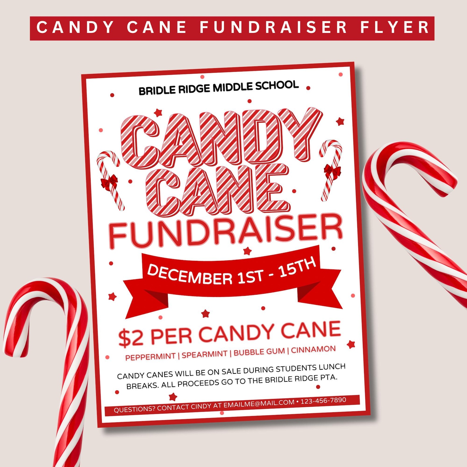 Editable Candy Cane Flyer, Candy Cane Fundraiser Flyer, Candy Cane ...