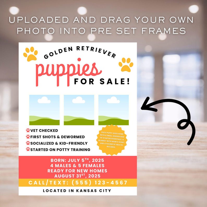 Puppies for Sale Dog Flyer, Dog Flyer, Cat Flyer, Puppies Breeder ...