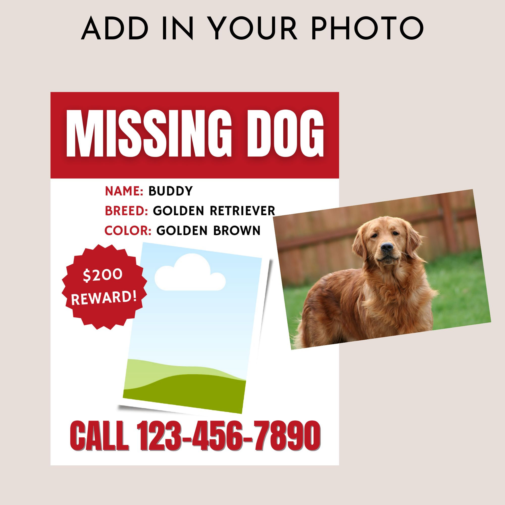 EDITABLE Lost Dog Flyer, Missing Dog Flyer, Lost Cat, Missing Cat Flyer ...