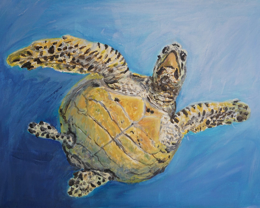 Sea Turtle Art Print, Underwater Turtle Wall Art, Sea Turtle Acrylic ...
