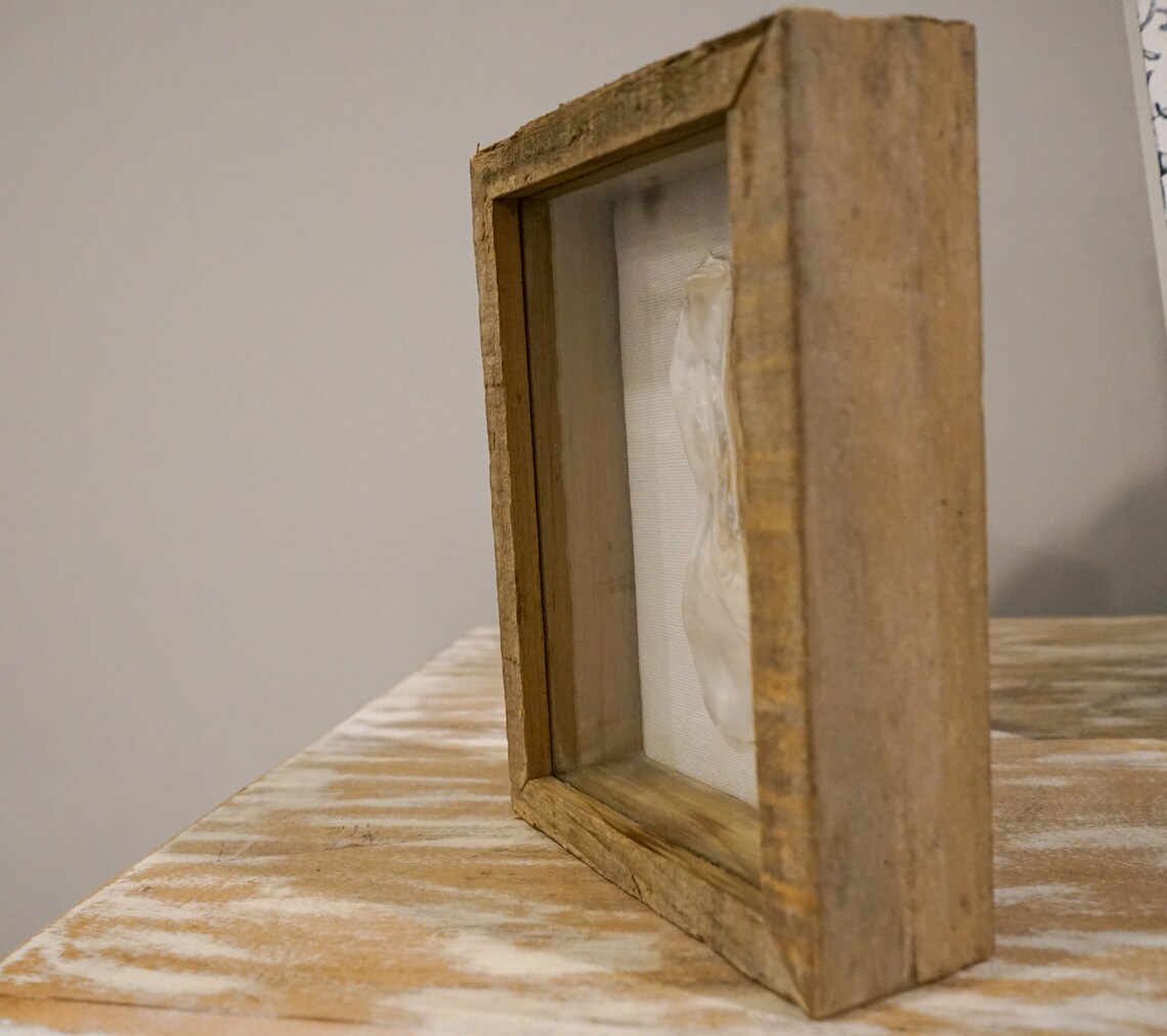 Oyster Shell Shadow Box, Oyster Wall Art, Coastal Wall Art, Oyster Wall ...