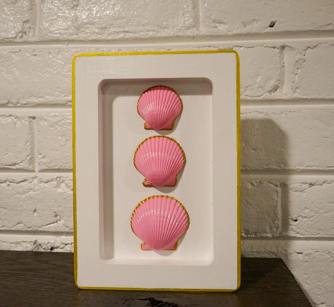 Pink Scallop Shadow Box, Scallop Shell Wall Art, Coastal Wall Art, Pink ...