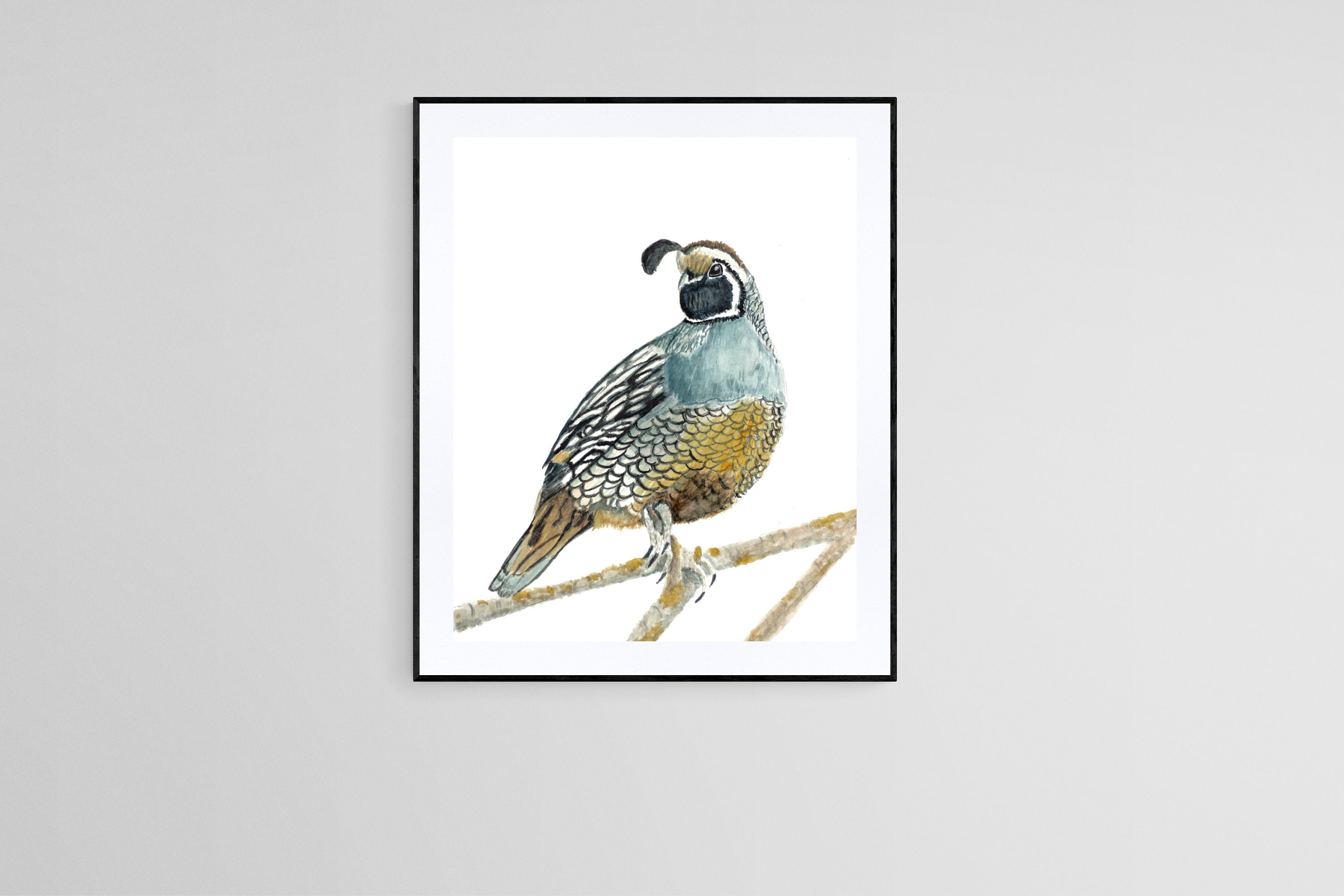 Quail Watercolor Giclée Print: Fine Art Bird Wall Decor - Etsy