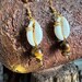 Cowrie, Tigers Eye Crystal Handmade Earrings. - Etsy