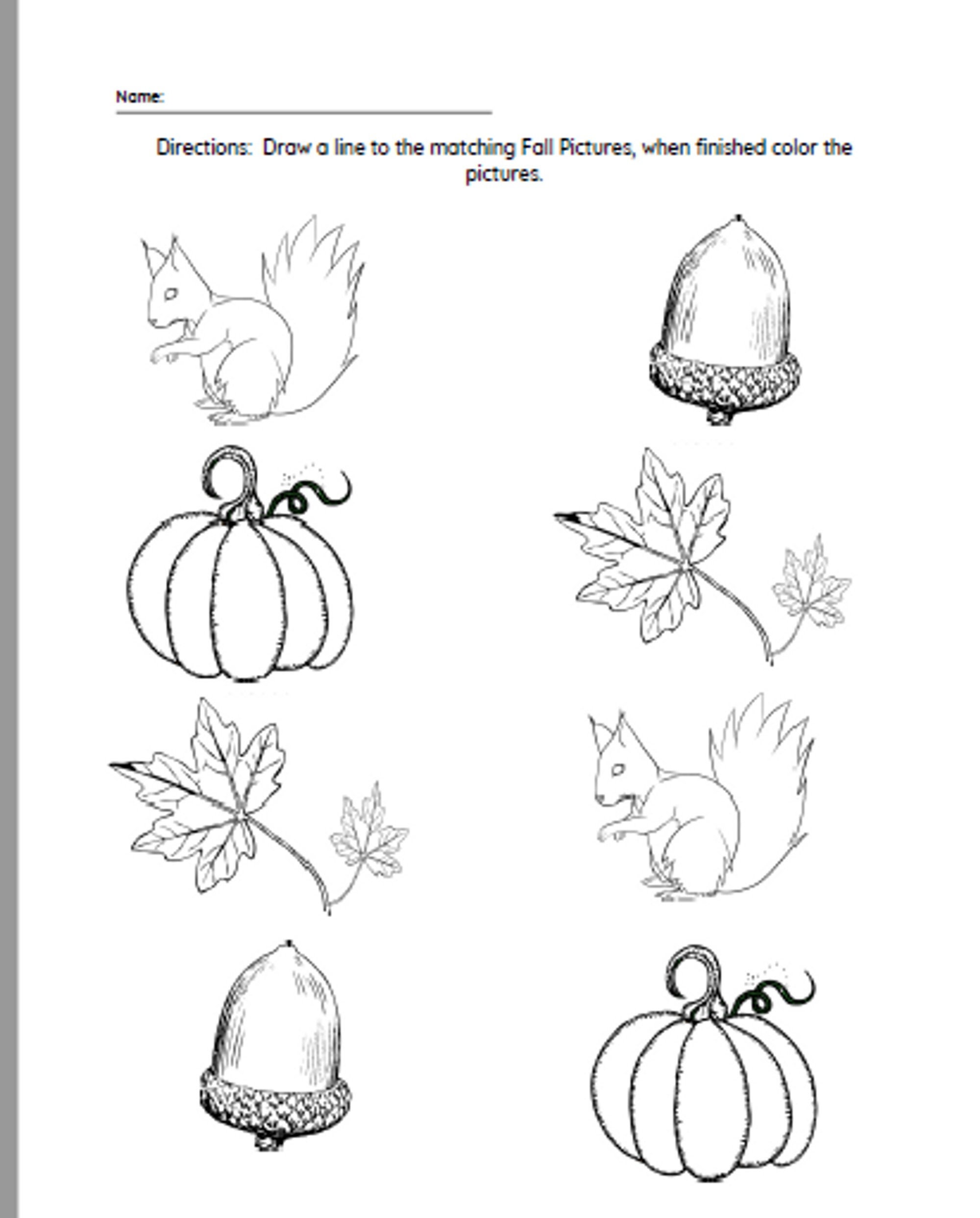 Autumn Worksheets
