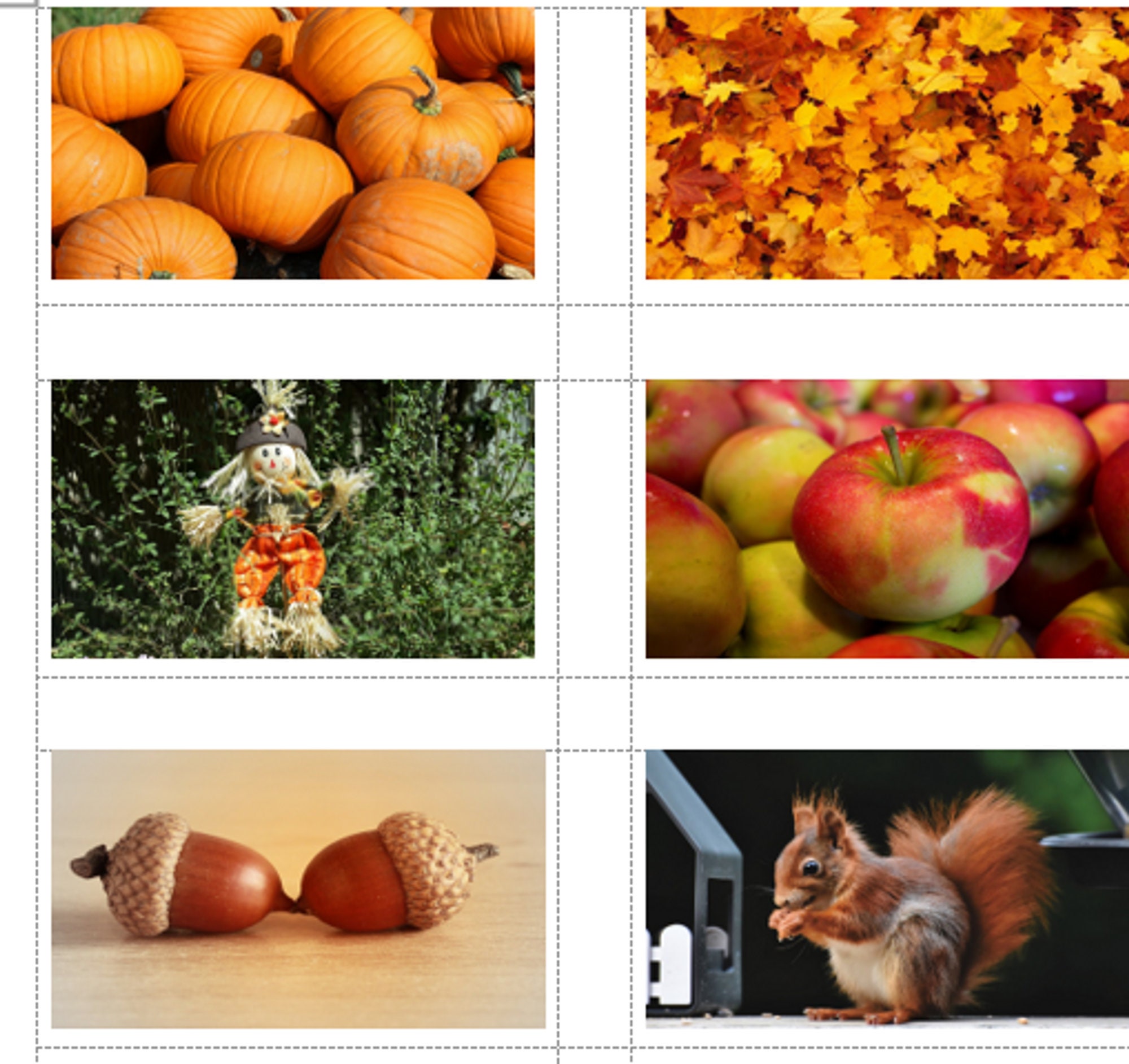 Fall Flashcards and Fall Matching/grid Game - Etsy