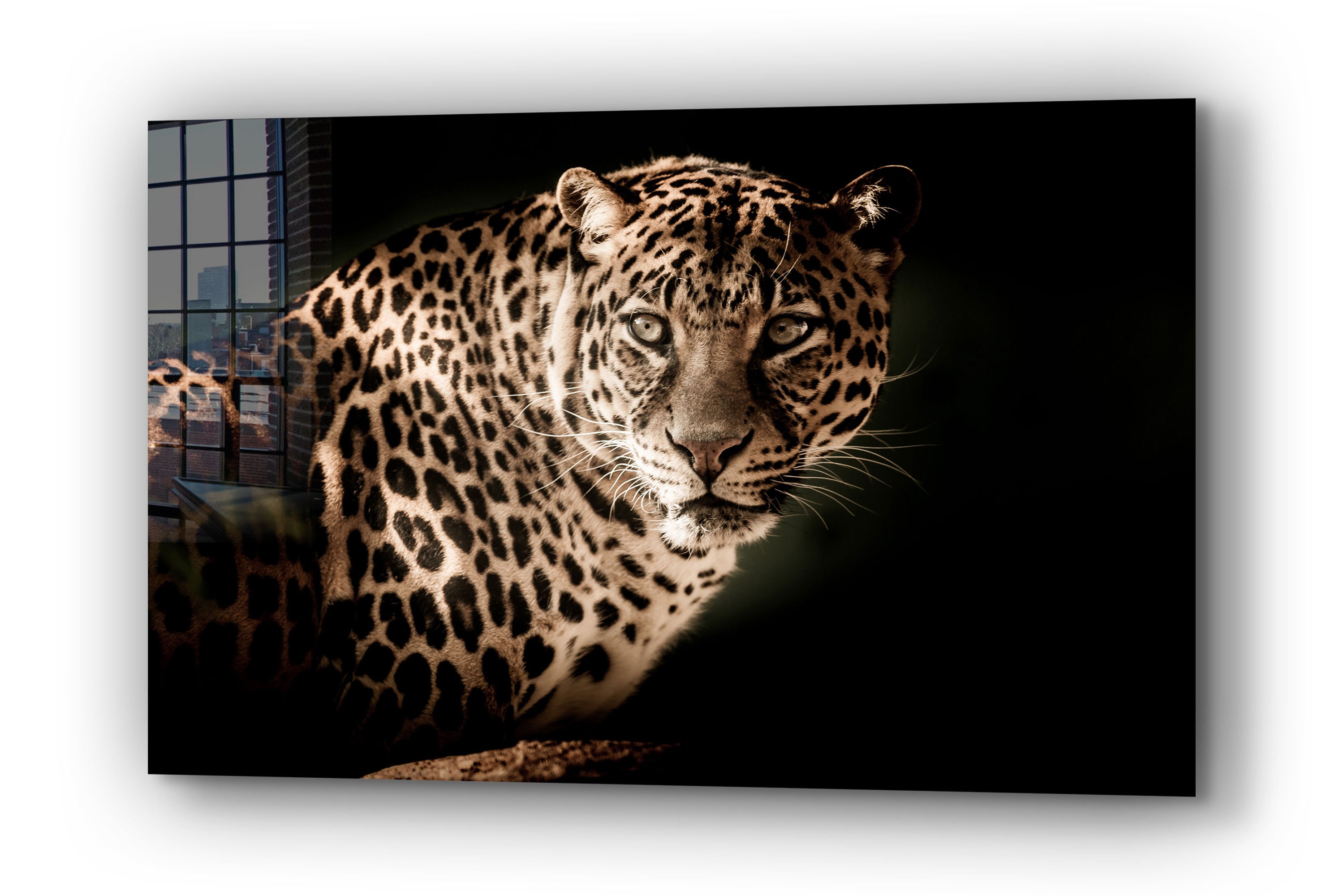 Leopard leopard Glass Decor Leopard Canvas Decor Glass Wall - Etsy