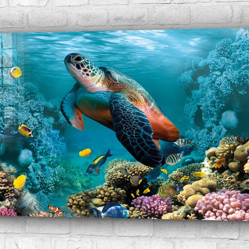 Sea Life Wall Decor - Etsy