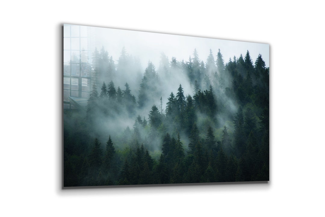 Foggy Forest , Forest , Fog , Canvas Decor, Glass Wall Art , Canvas ...