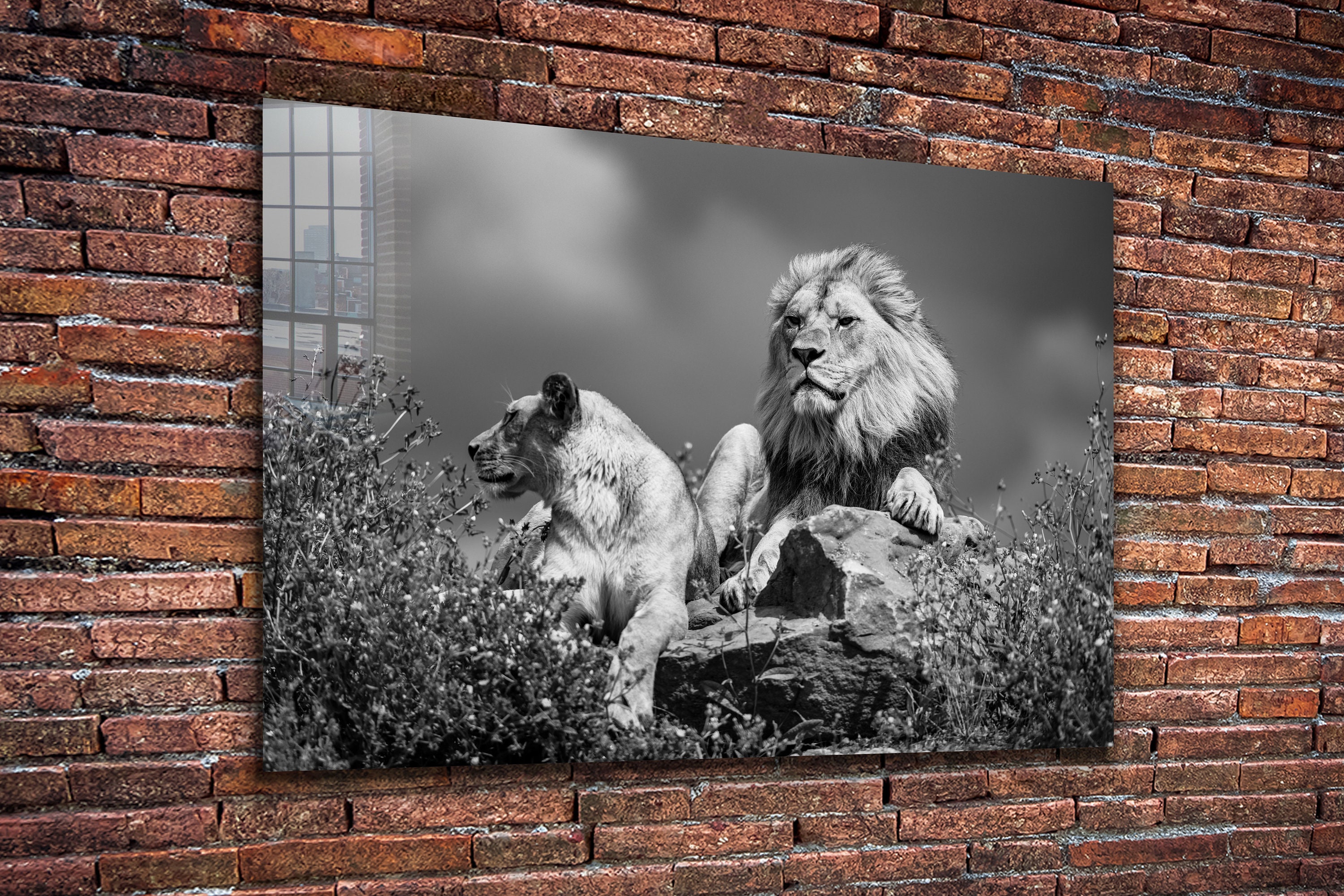 Lion & Lioness Lions Glass Decor Lions Canvas Decor Glass - Etsy