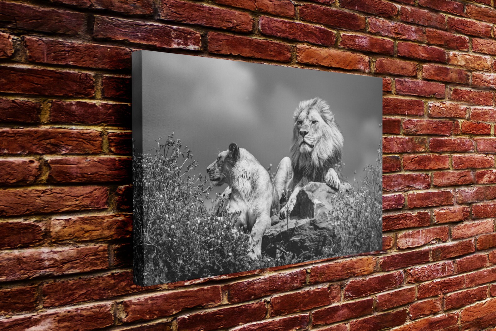 Lion & Lioness Lions Glass Decor Lions Canvas Decor Glass - Etsy