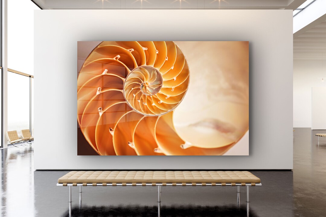 Nautilus Shell Canvas Decor, Glass Wall Art , Canvas Wall Art ,room ...