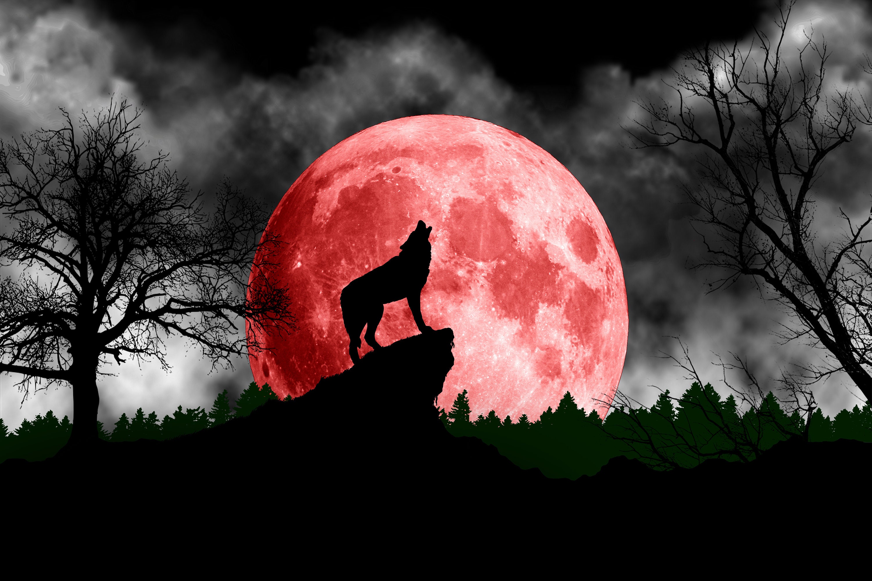 Howling Wolf Red Moon