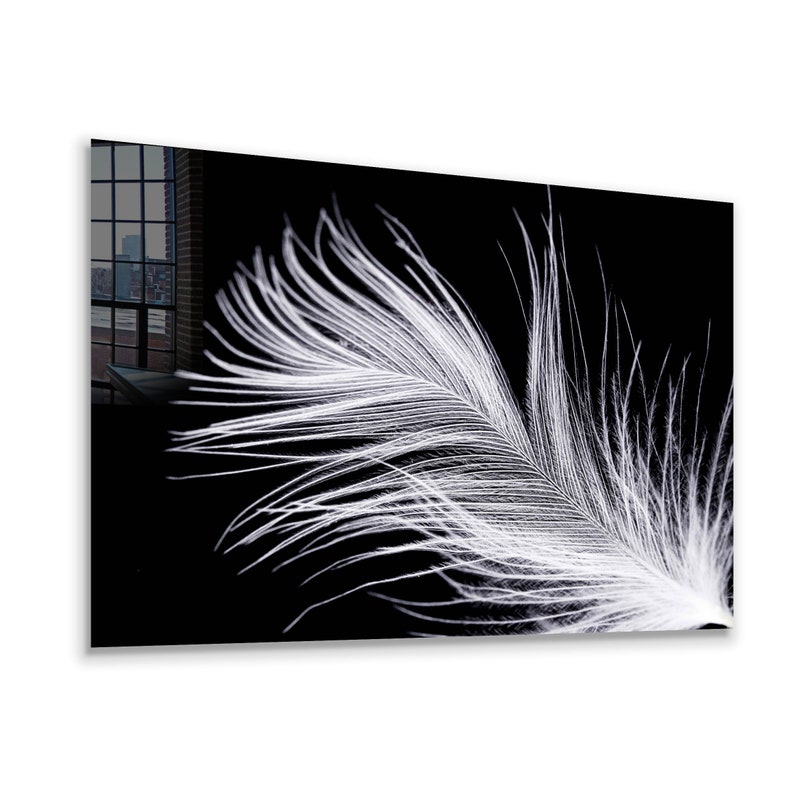 Large Feather Art - Etsy