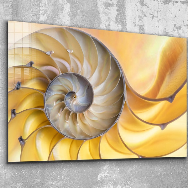 Nautilus Art - Etsy