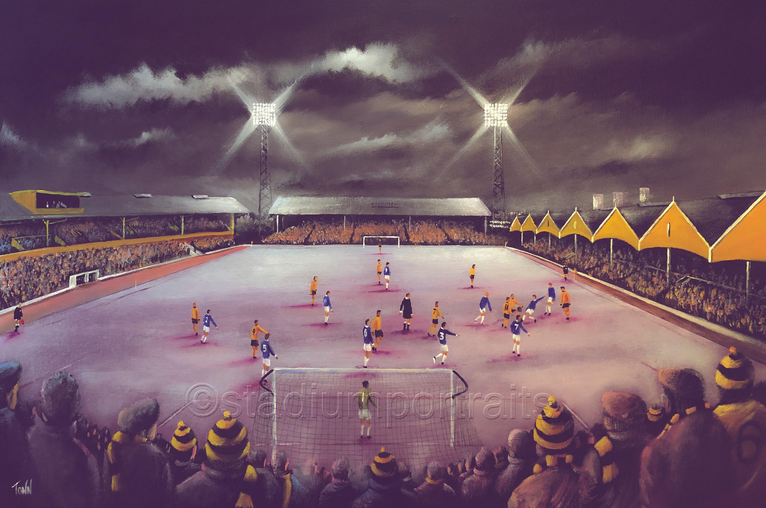 From the South Bank, Molineux, Wolverhampton Wanderers (wolves) 20'' X ...