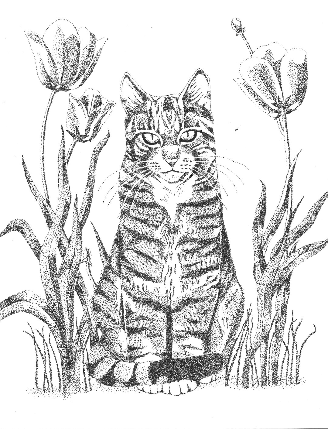 Pen and Ink Stippling Cat Drawing - Print From Original Art - Etsy UK