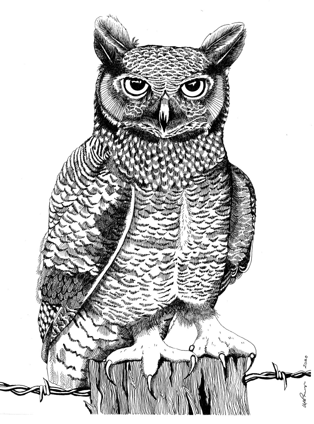 Pen and Ink Owl Line Drawing #1 - Print From Original Art - Etsy