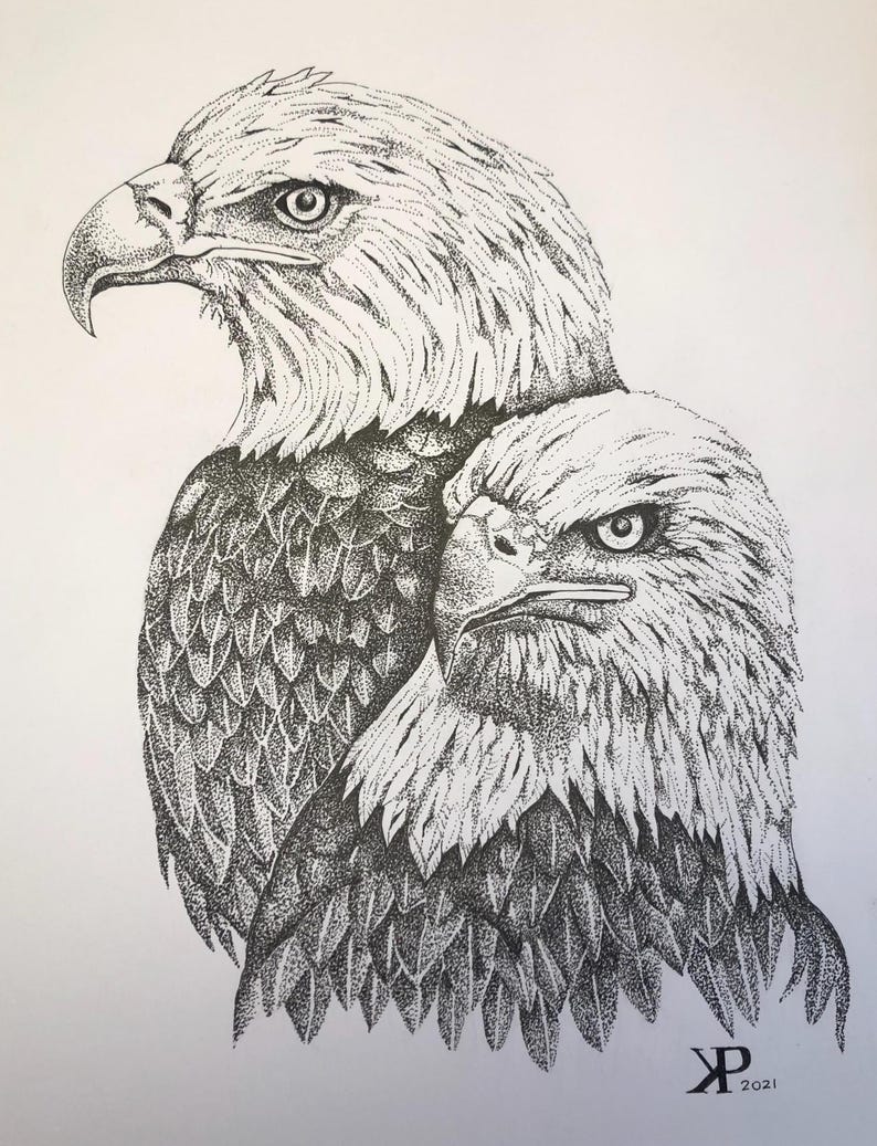 Pen and Ink Eagle Animal Drawing - Print From Original Art - Etsy
