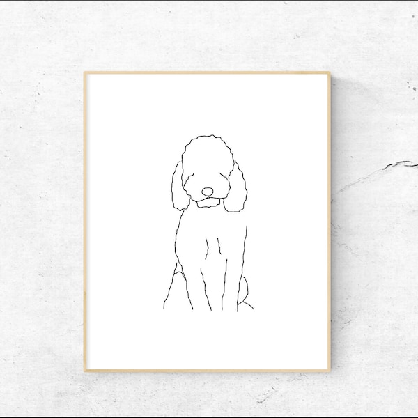Aussiedoodle Drawing - Etsy