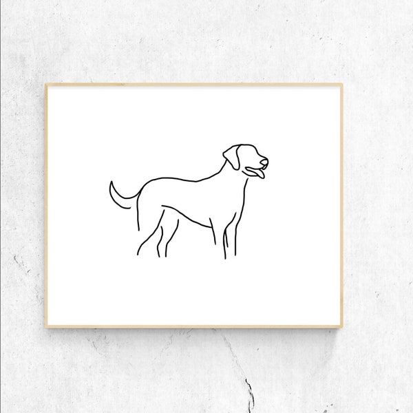 Labrador Retriever Line Drawing - Etsy