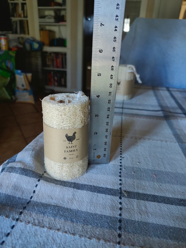 Organic Natural 4" SPA Loofah, Loofa, Luffa, Vegan Loofah, Natural ...