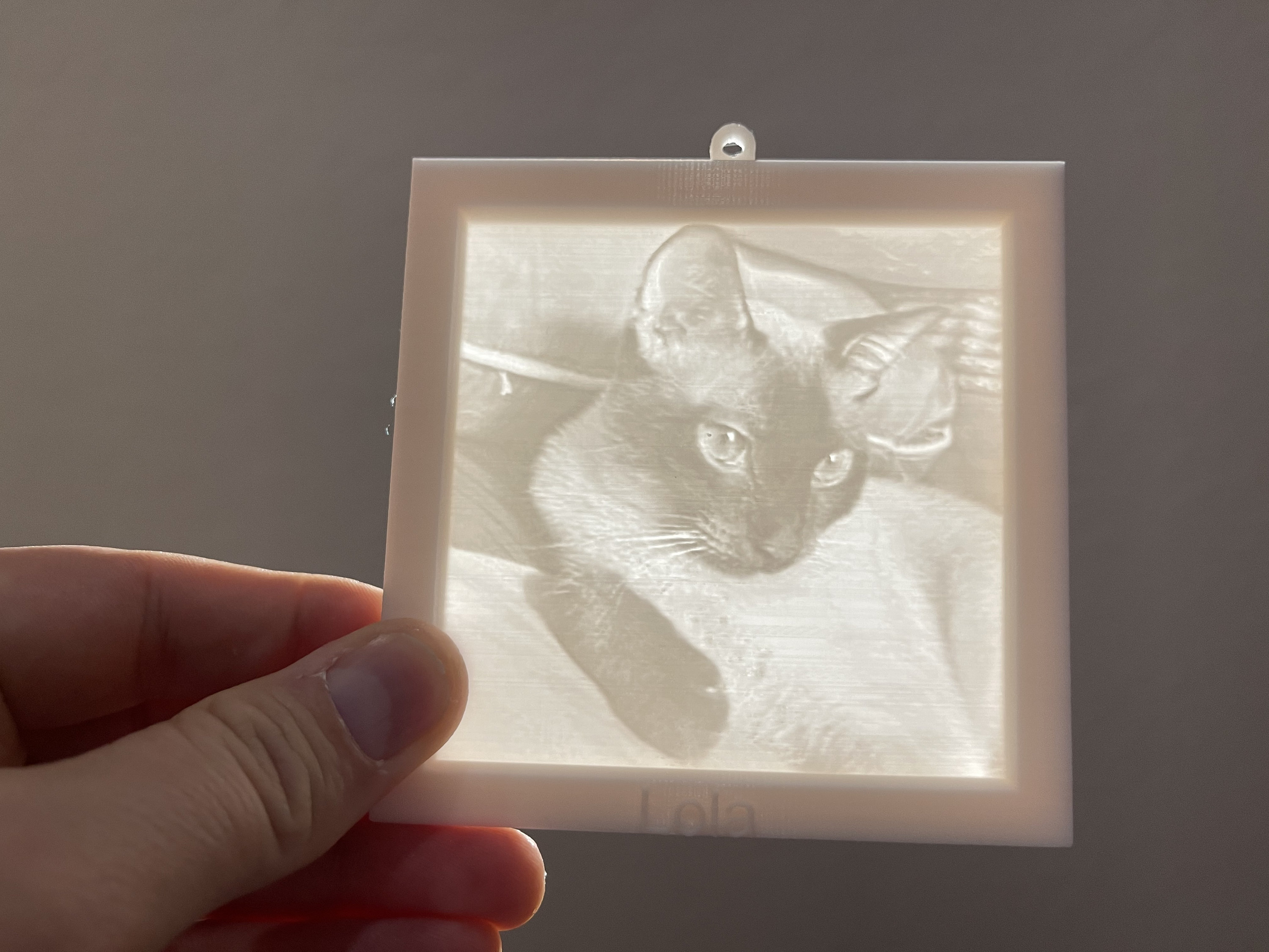 3D Printed Window/ornament Lithograph Picture - Etsy