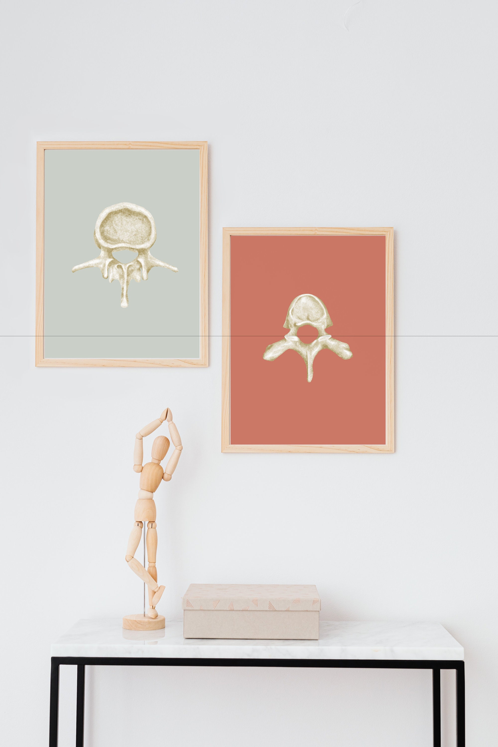 Lumbar Vertebrae Drawing Print Download - Etsy