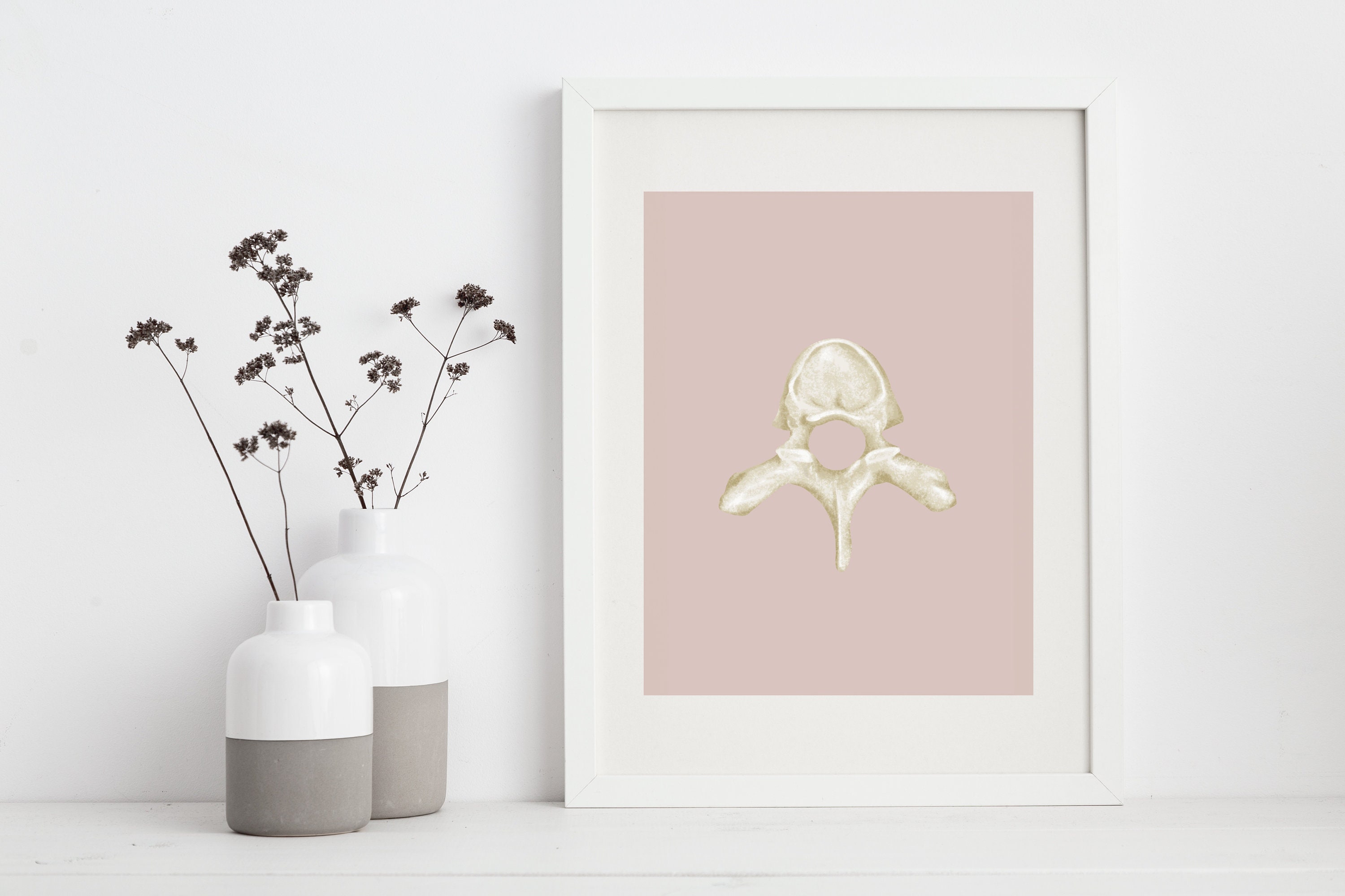 Thoracic Vertebrae Drawing Print Download - Etsy