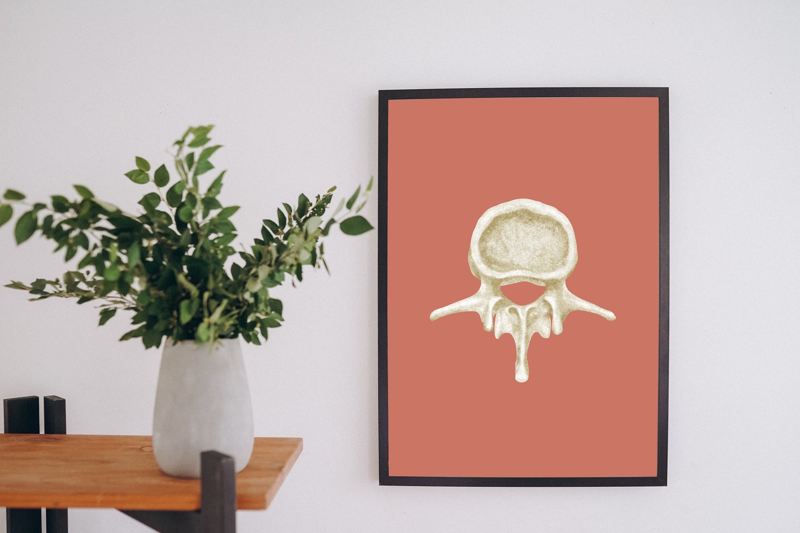 Lumbar Vertebrae Drawing Print Download - Etsy