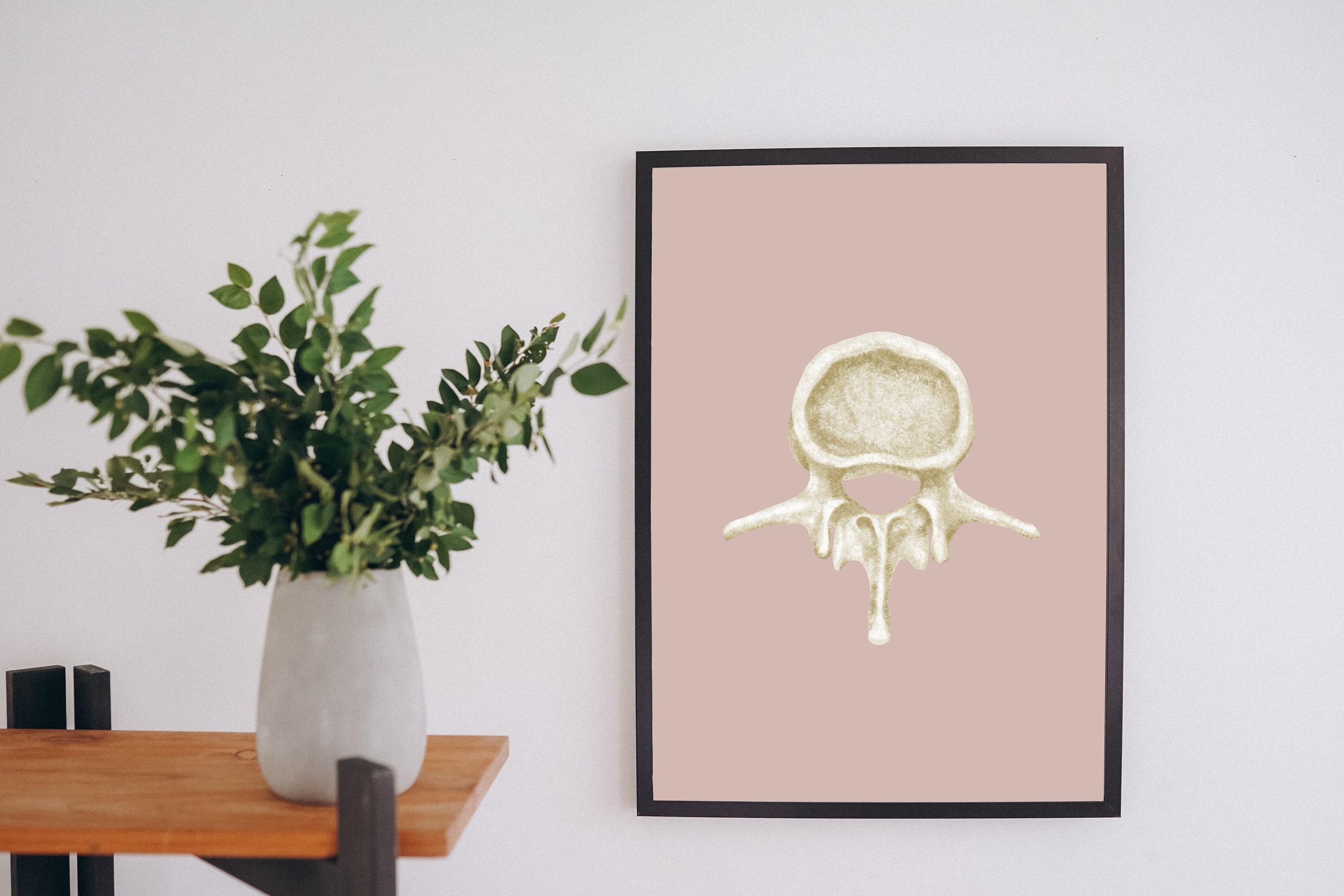 Lumbar Vertebrae Drawing Print Download - Etsy