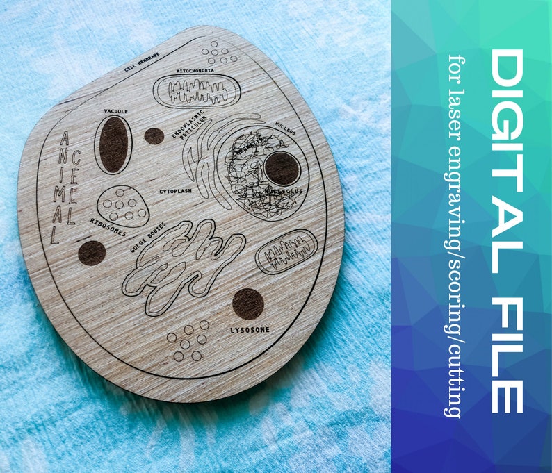 Animal Cell Puzzle-svg-file for Laser INSTANT DOWNLOAD - Etsy