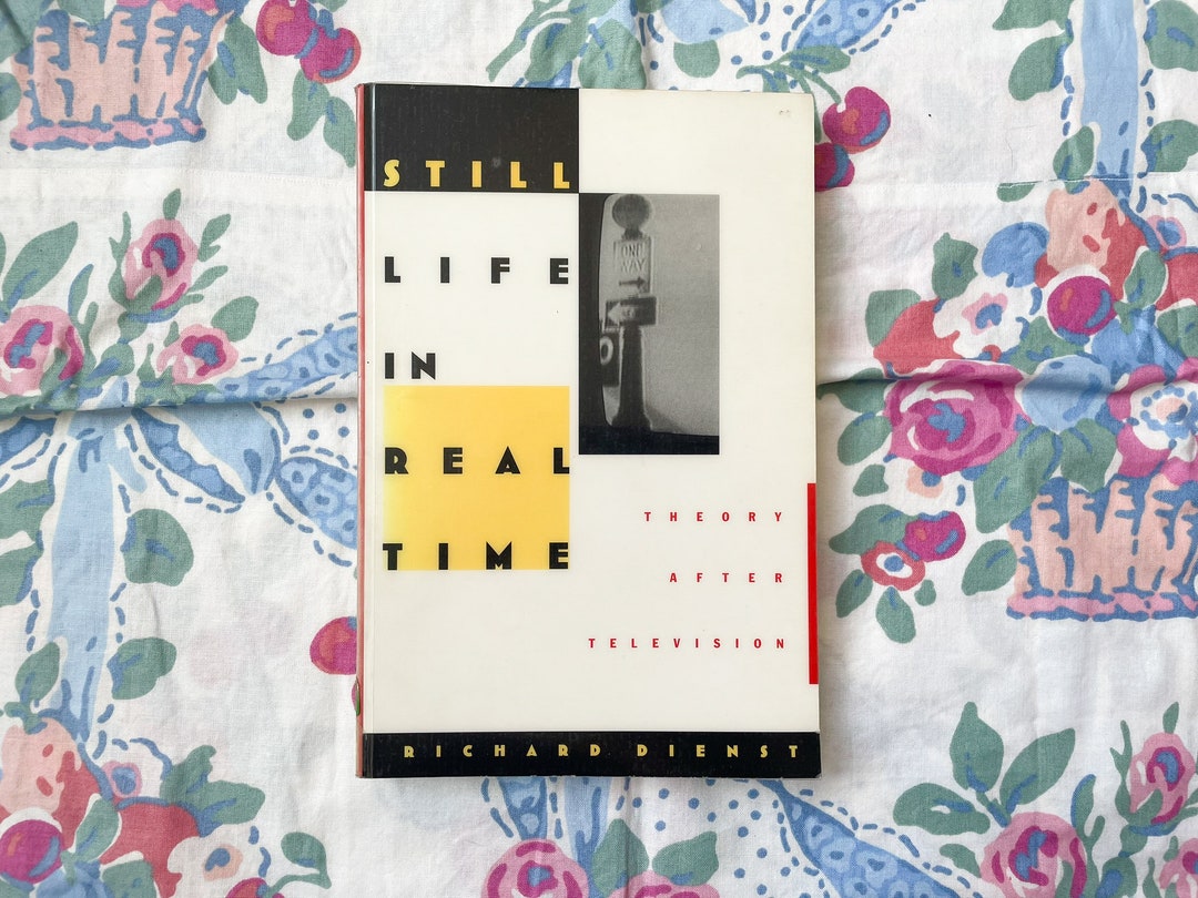 Still Life in Real Time by Richard Dienst, Theory After Television ...