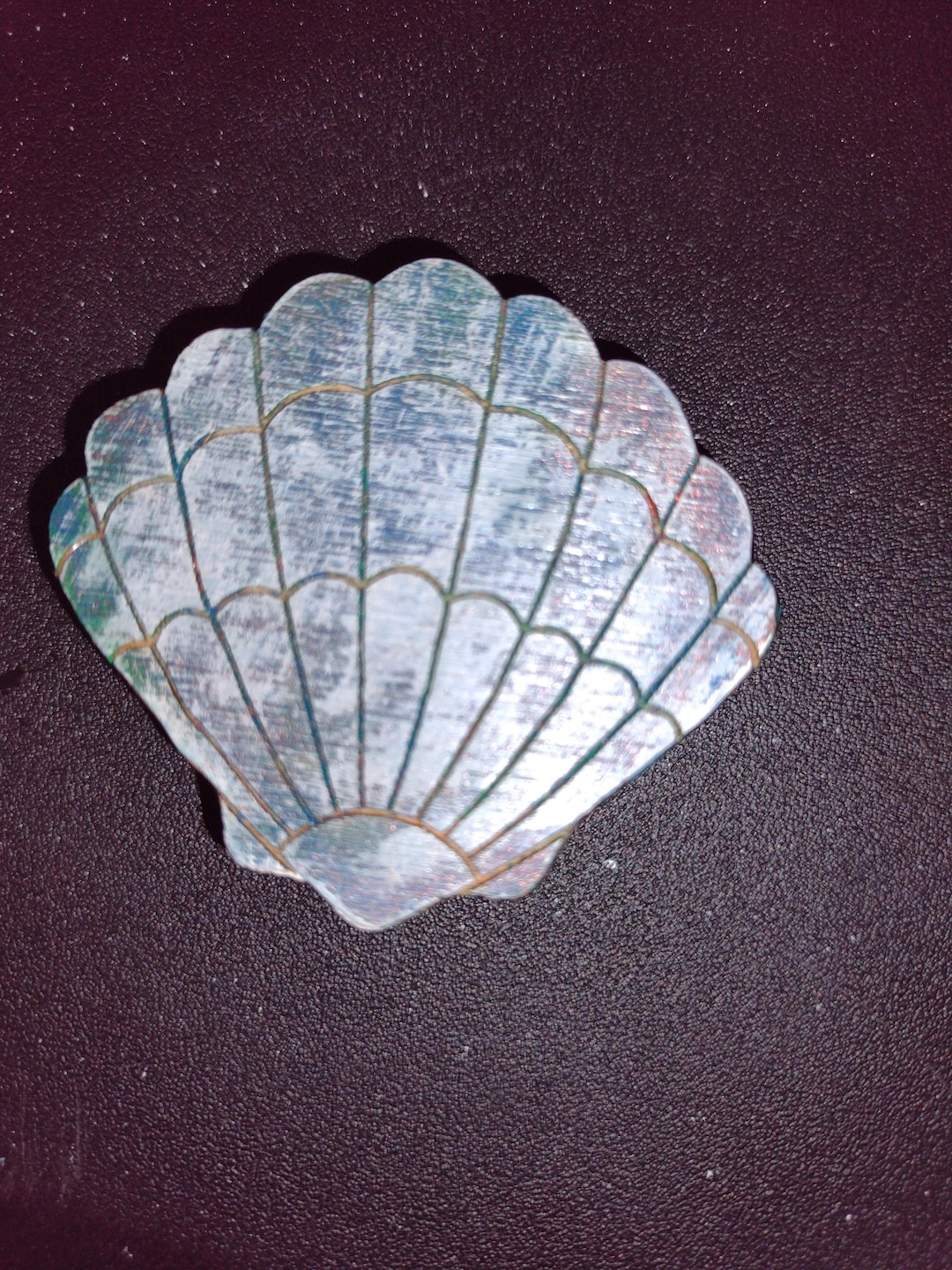 Small Shell Magnets - Etsy UK