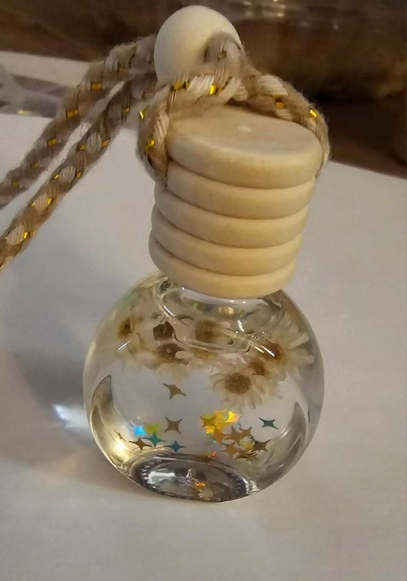 Car Scent Diffuser-oval Shape - Etsy