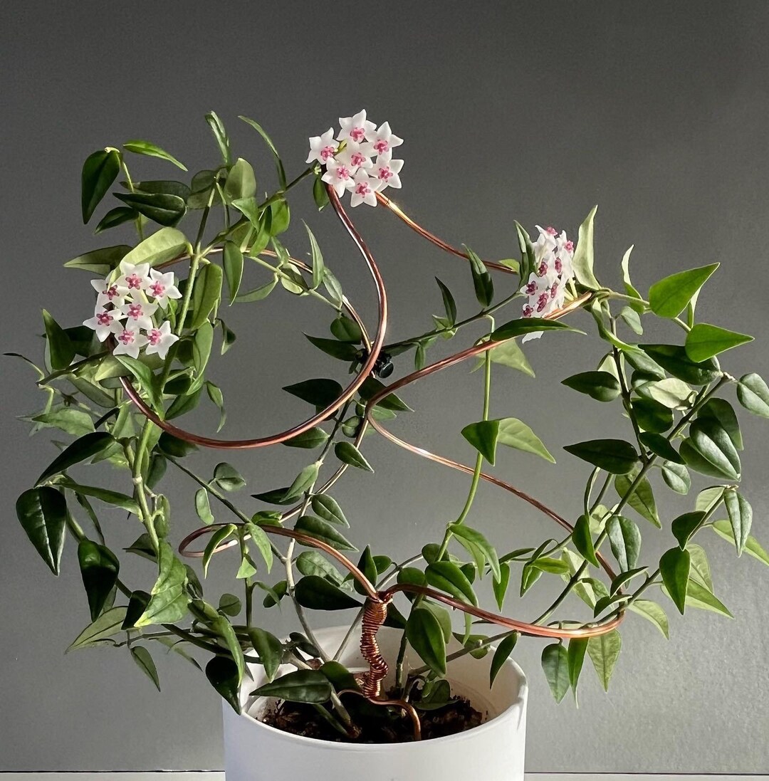 Handcrafted Swirling Copper Trellis - Etsy