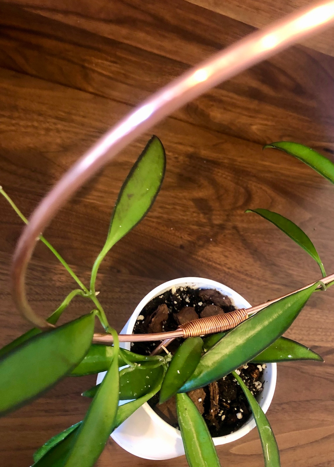 Copper Plant Trellis - Etsy